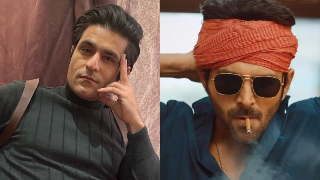 exclusive sunny hinduja reveals what he learnt from shehzada co-actor ...