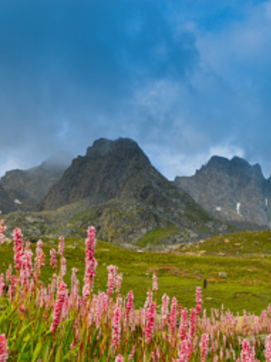 Scenic flower valleys in India that should be on your bucket list