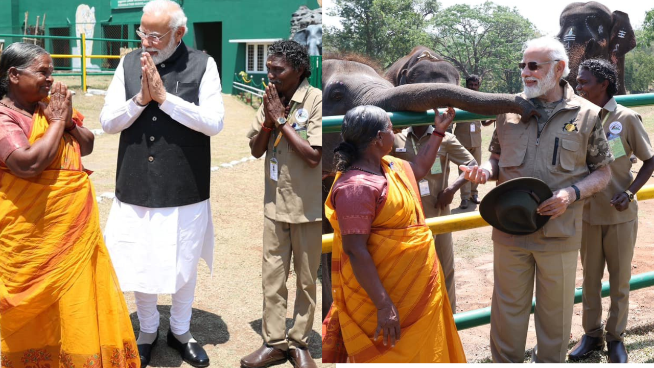 Bomman: The Elephant Whisperers' Bomman, Belli Are All Smiles As They ...