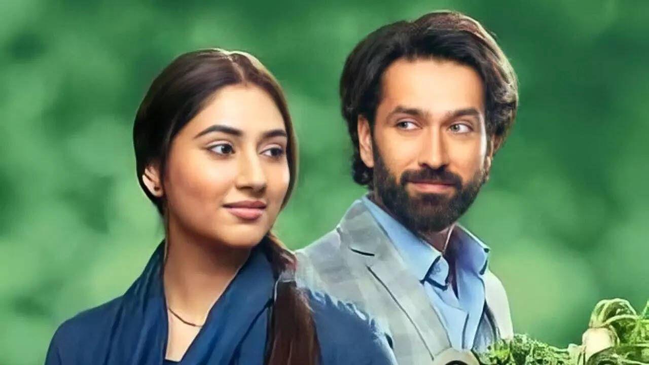 Will Nakuul Mehta, Disha Parmar Return To Bade Achhe Lagte Hain With ...